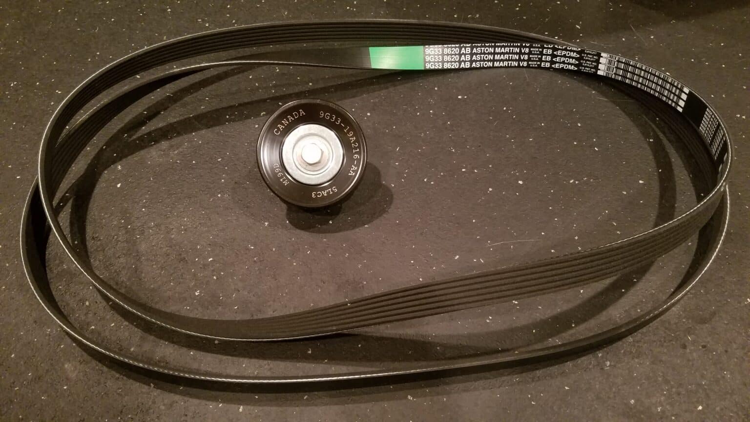 FEAD Belt (V8) – Redpants Shop